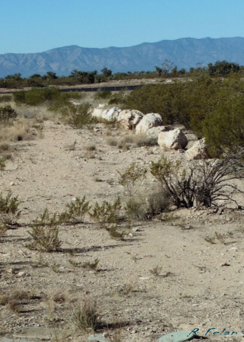 'Desert Trail' Poster, picture, metal print, paint by Robert Felan ...