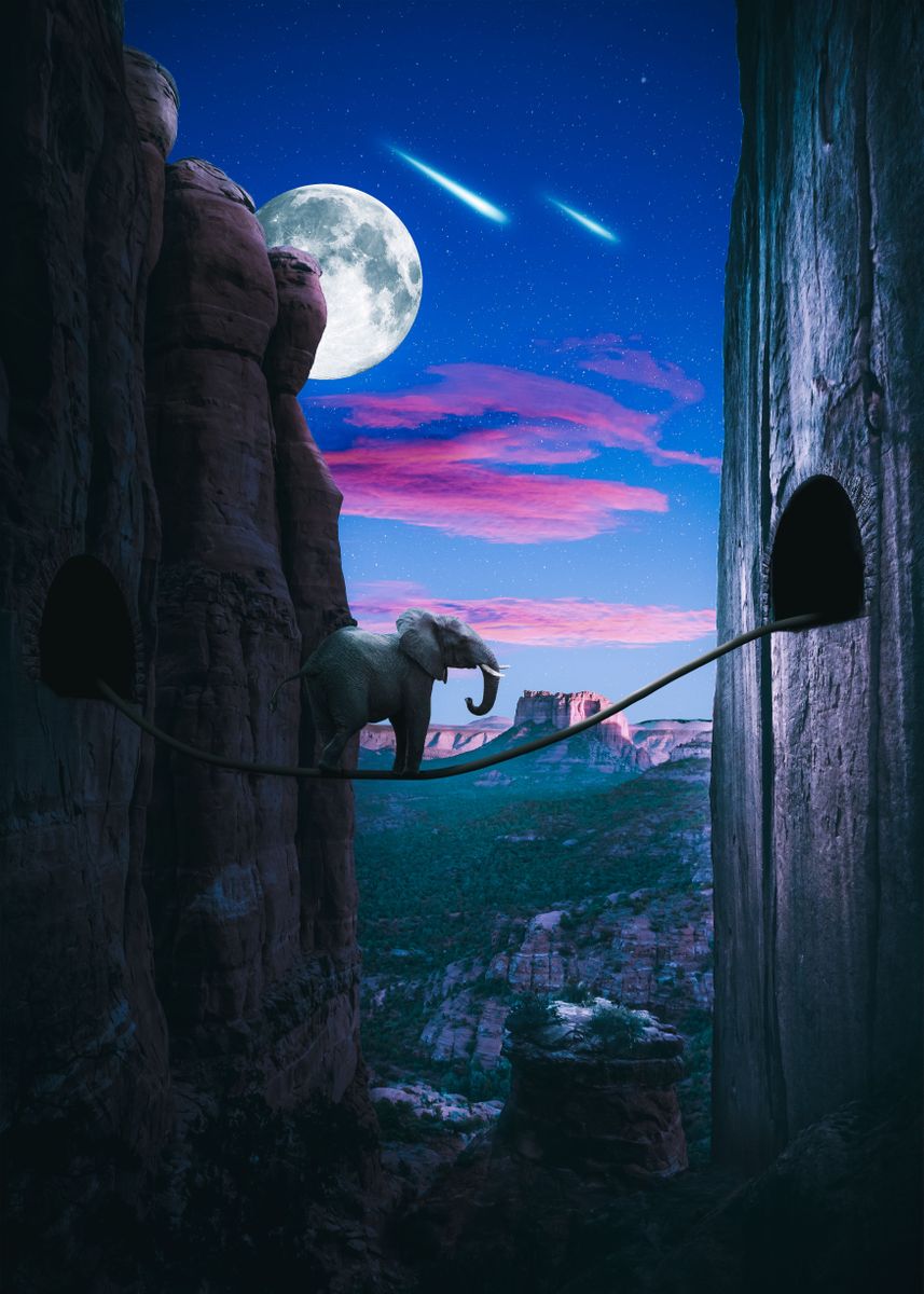 'balance elephant' Poster by n3umann lukas | Displate