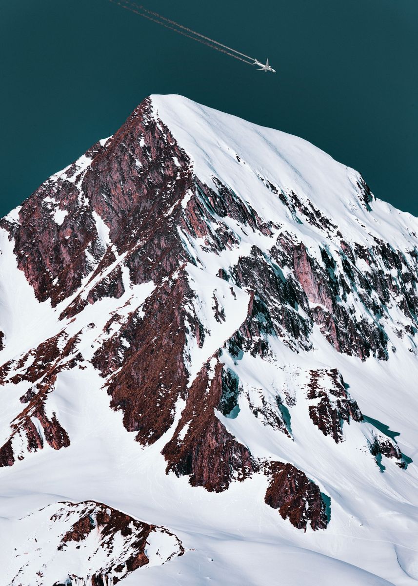 'Fly High Fly High' Poster, picture, metal print, paint by Artistic ...