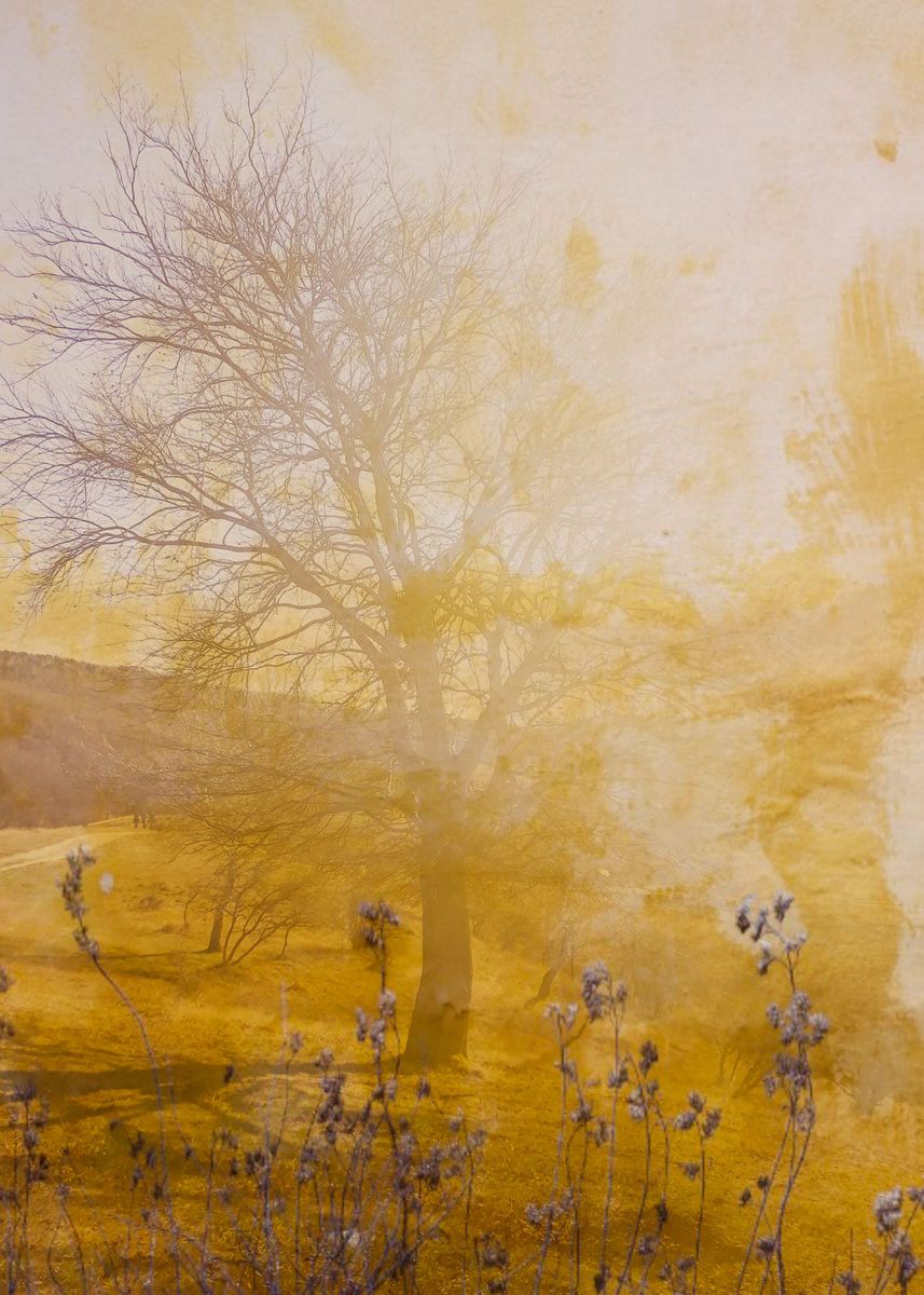 'Tree postcard' Poster, picture, metal print, paint by Edy Art Space ...