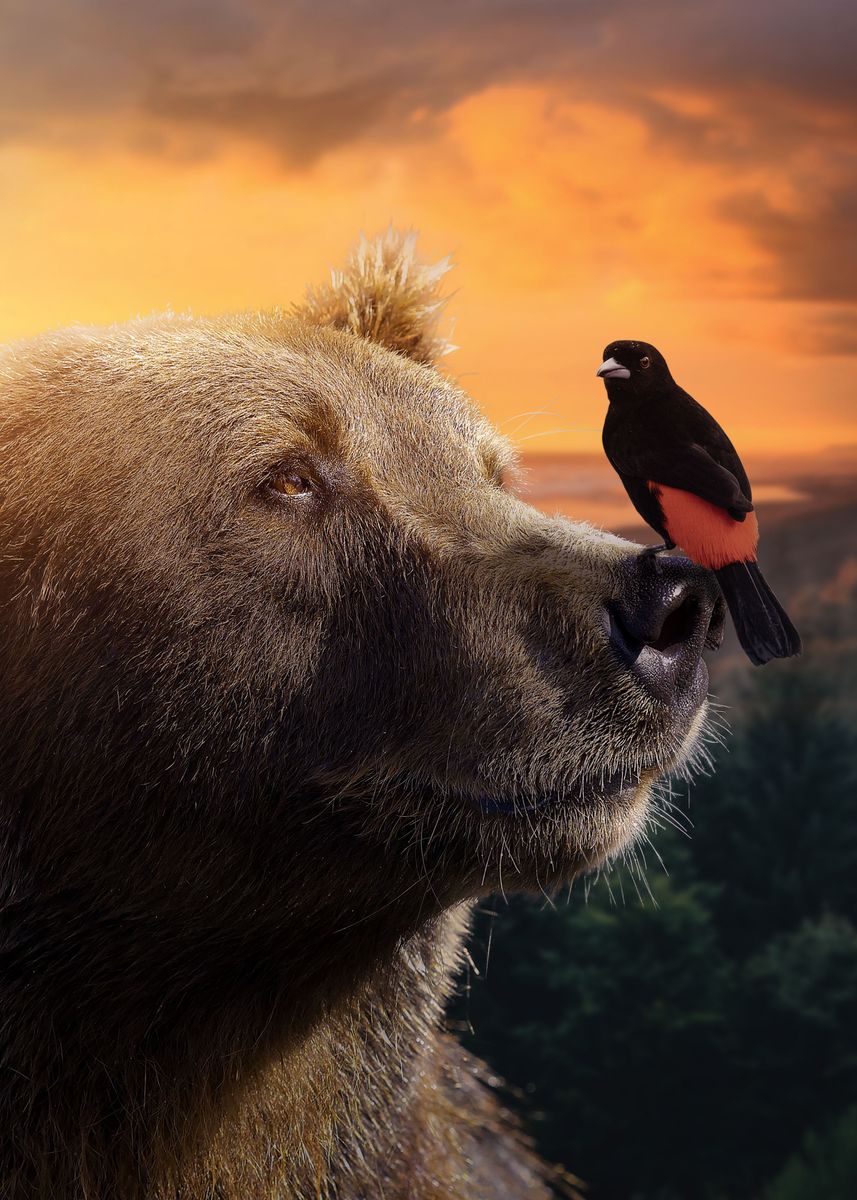 'The Bear and The Bird' Poster, picture, metal print, paint by Zenz ...