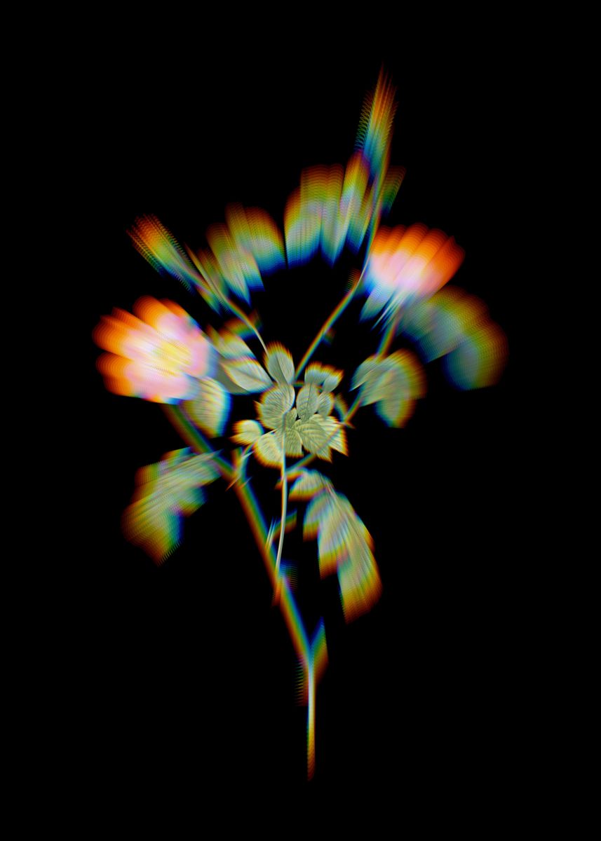 'Prism Pink Copper Rose' Poster by Holy Rock Design | Displate