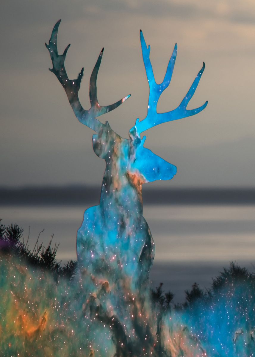 'Universe within' Poster by Milos Maric | Displate