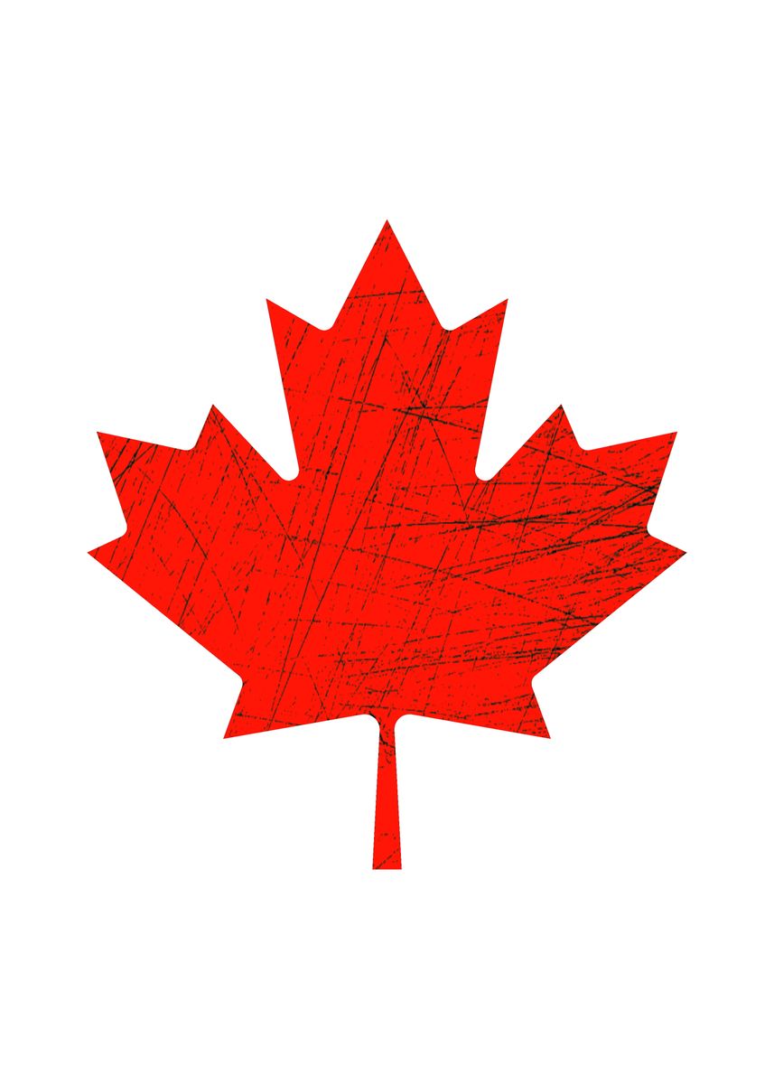 'Canadian Maple' Poster, picture, metal print, paint by Dmitry | Displate