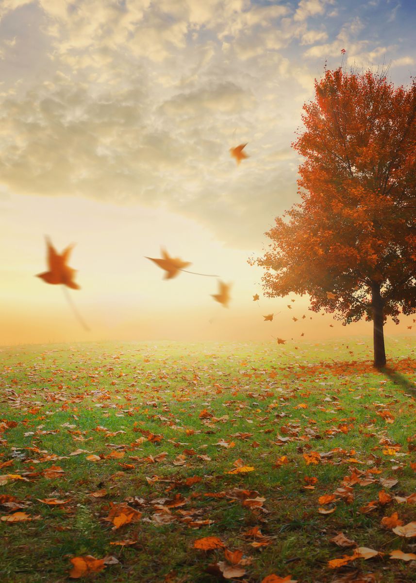 'Leaves Red Fall Yellow Sky' Poster by Noah | Displate