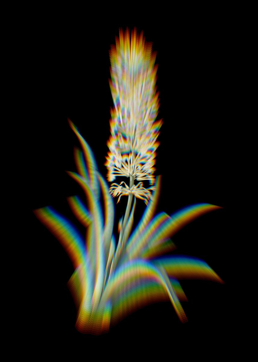 'Prism Snake Plant' Poster, picture, metal print, paint by Holy Rock ...