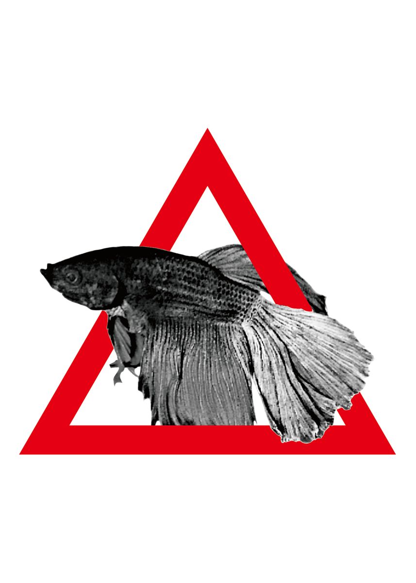 'Betta' Poster by Bajingseng | Displate