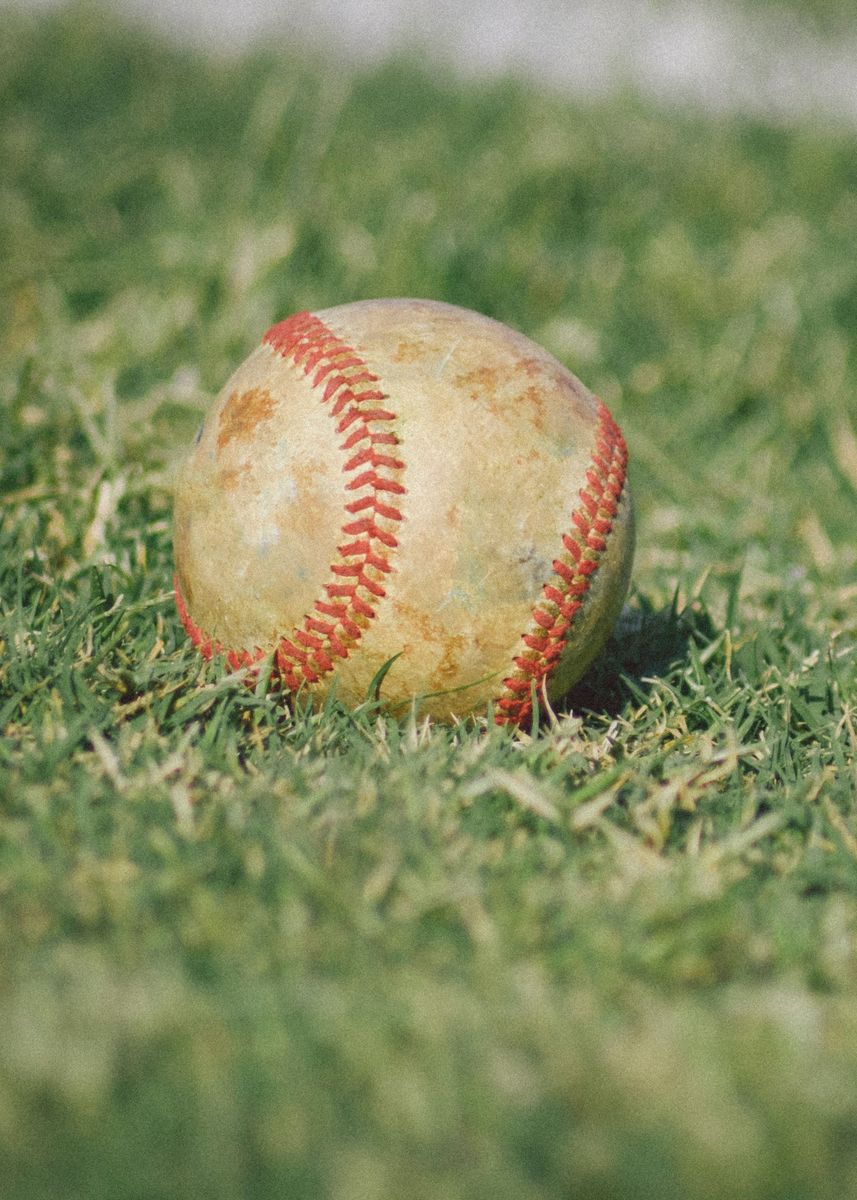 'Baseball' Poster by SportsKing | Displate
