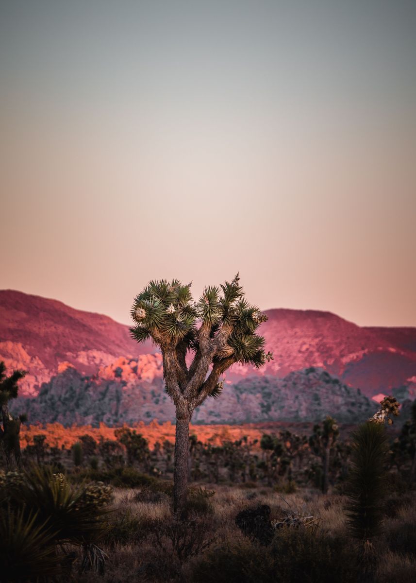 'lonely' Poster, picture, metal print, paint by MWPhotography | Displate