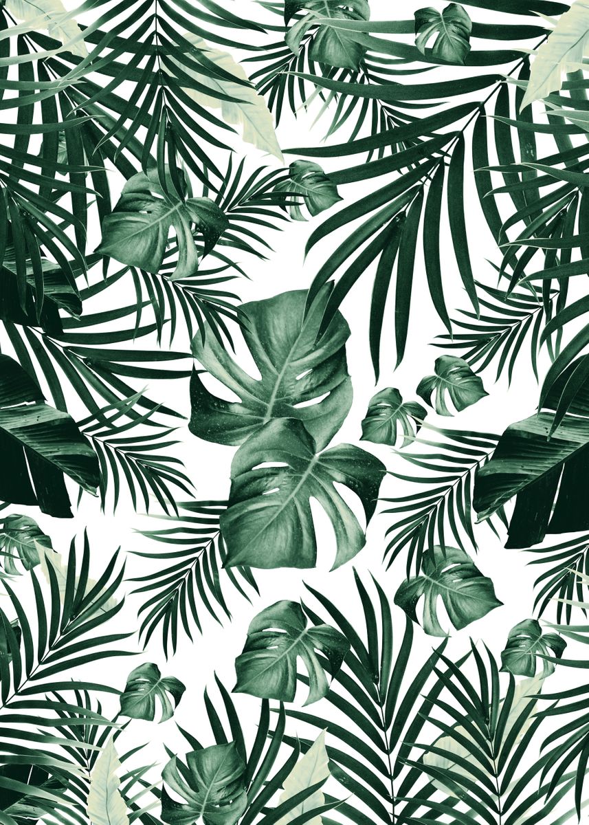 'Tropical Jungle Leaves 4a' Poster, picture, metal print, paint by ...