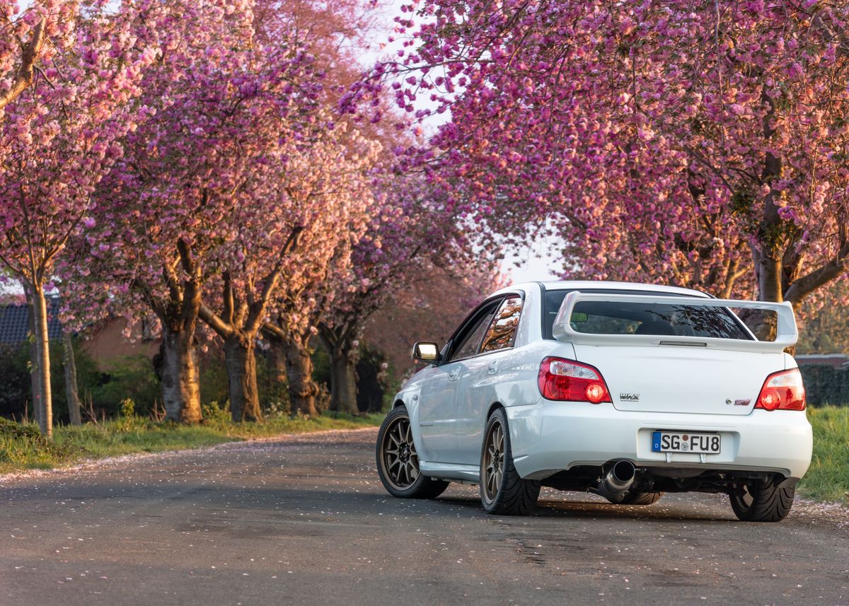 'sti' Poster by Jan Fastenrath | Displate