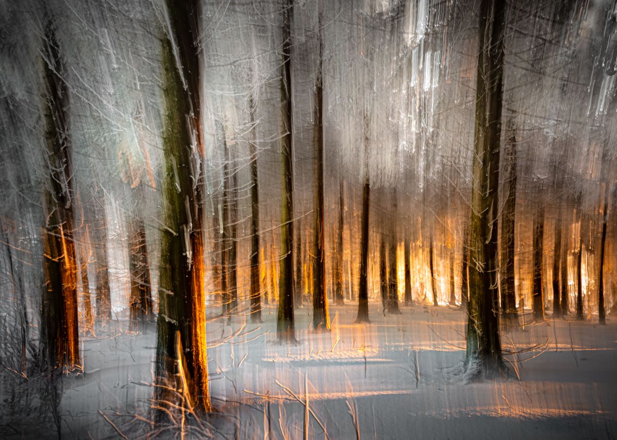 'Winter forest ' Poster by Wiktor Borozdin | Displate