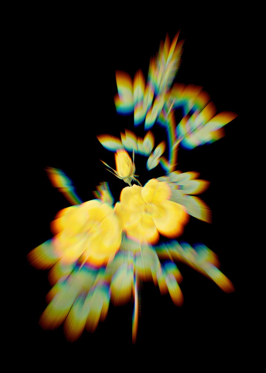 'Prism Yellow Roses' Poster, picture, metal print, paint by Holy Rock ...