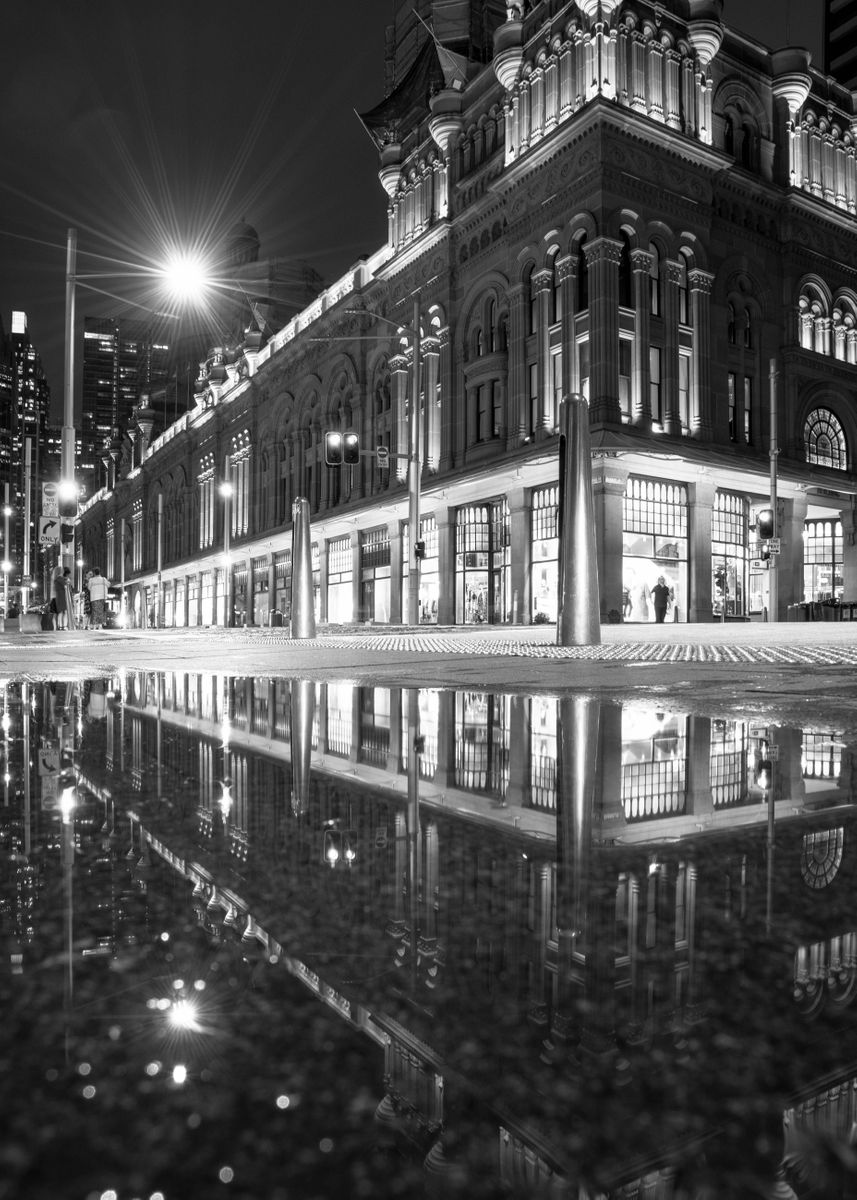 'Reflection' Poster by Susanne Larissa | Displate