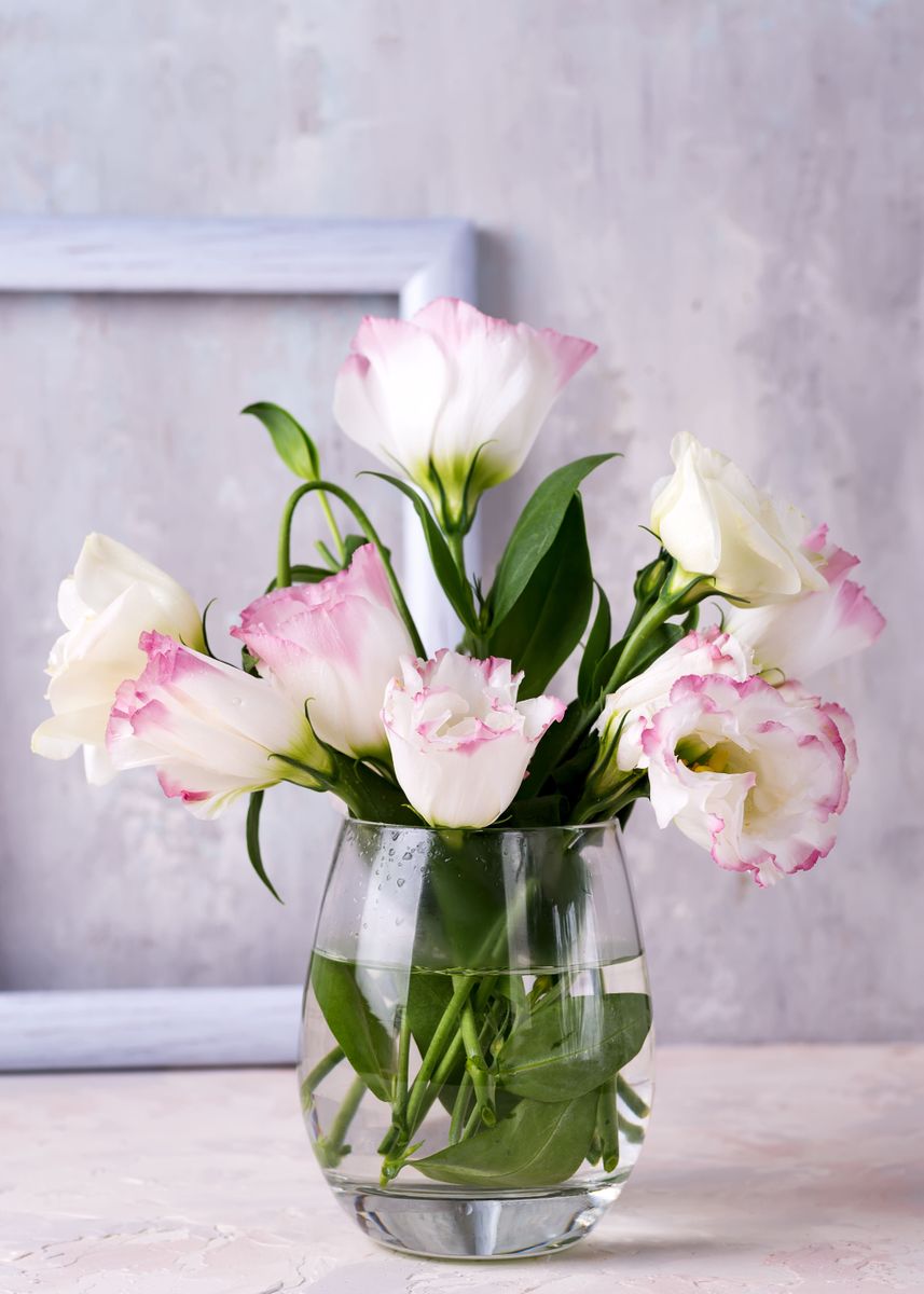 'Eustoma flowers in vase' Poster, picture, metal print, paint by Yuliia ...