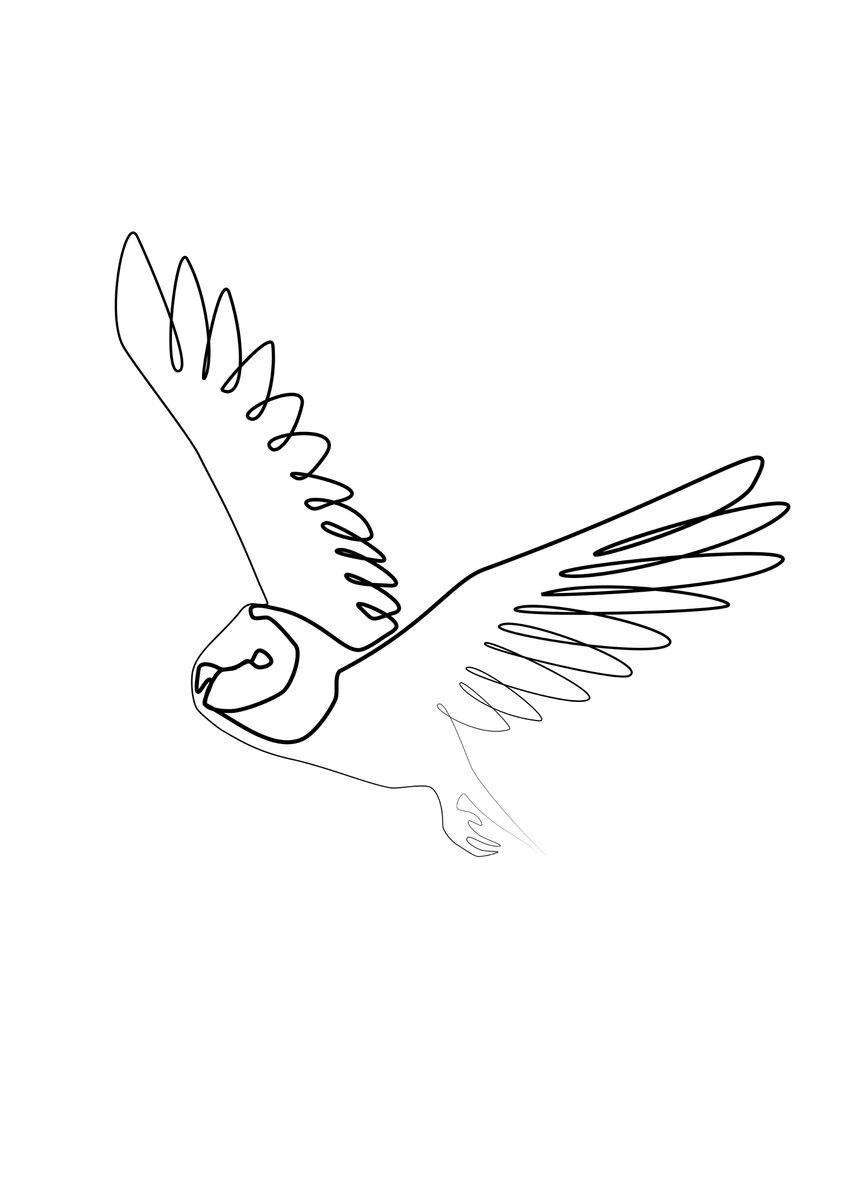 'One line barn owl' Poster, picture, metal print, paint by Art and Roam ...