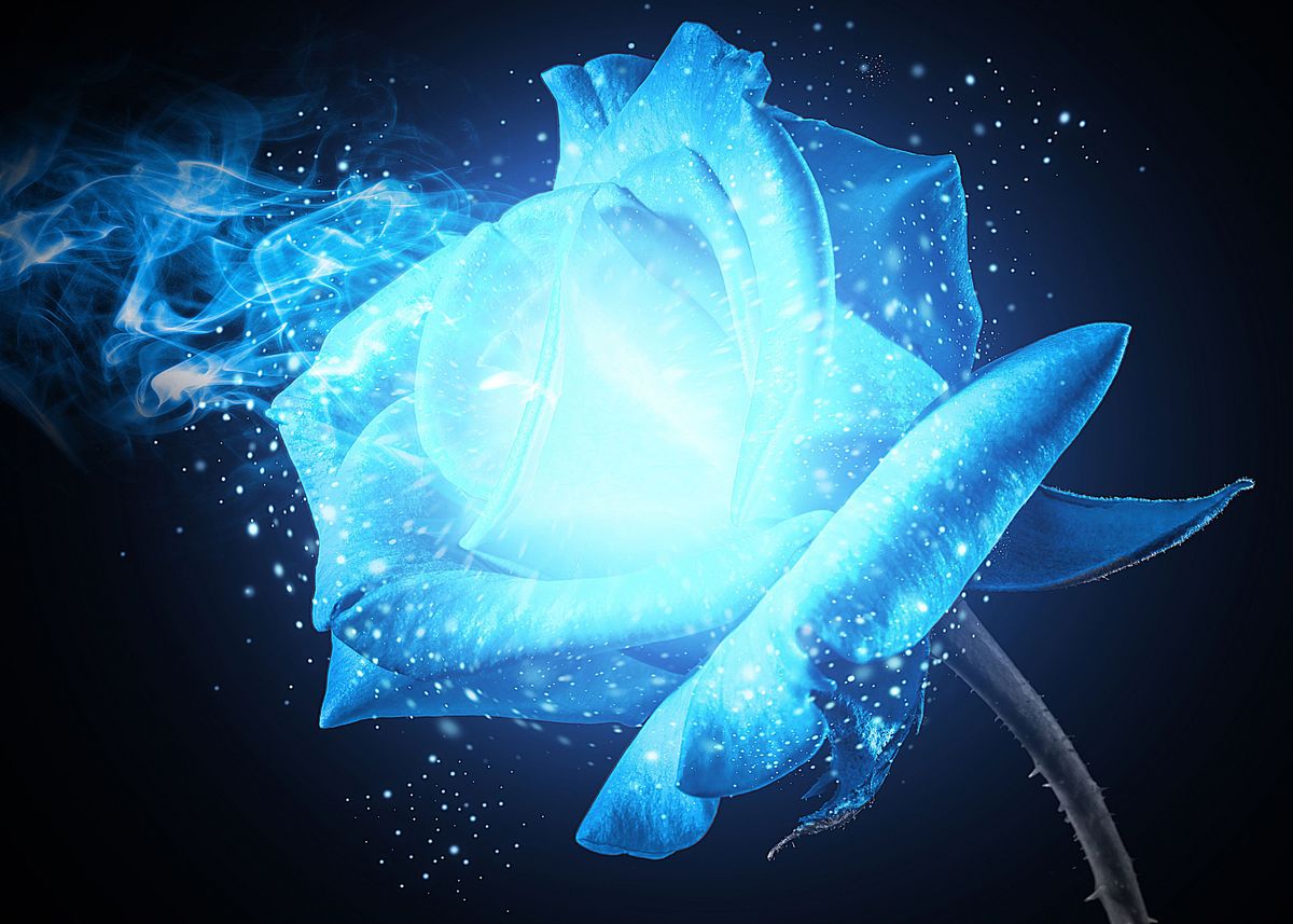 'Blue Rose ' Poster by Meshter | Displate