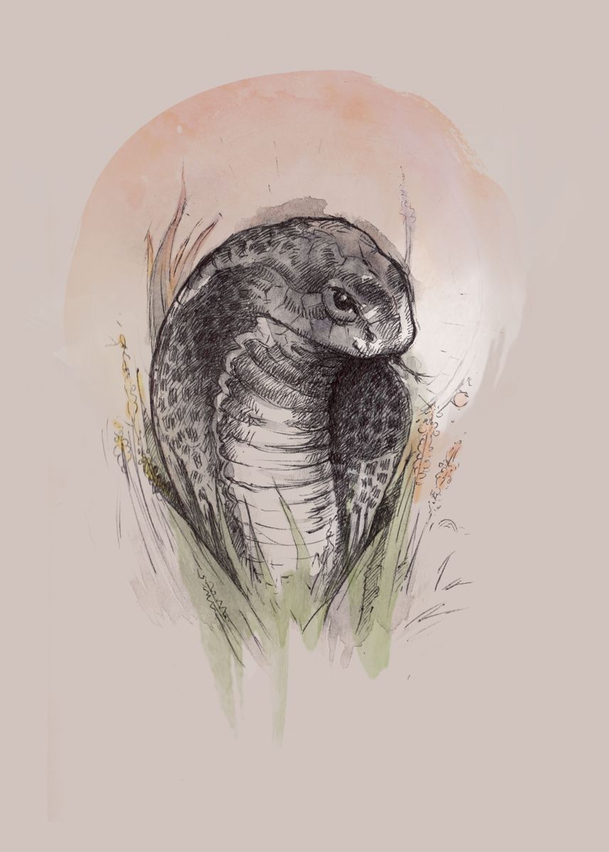 'Decent Snake ' Poster, picture, metal print, paint by Fady Youssef ...