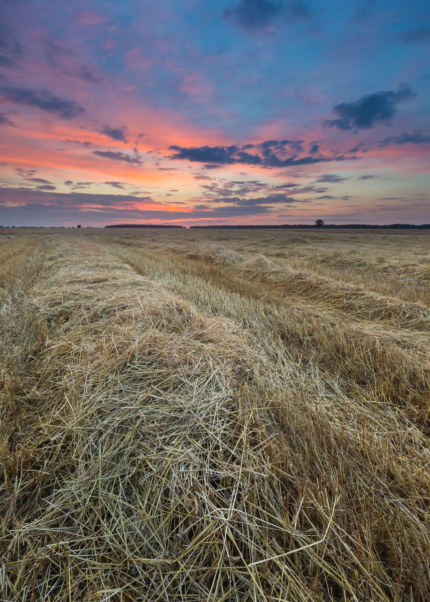 'Agriculture Nature Harvest' Poster, picture, metal print, paint by ...