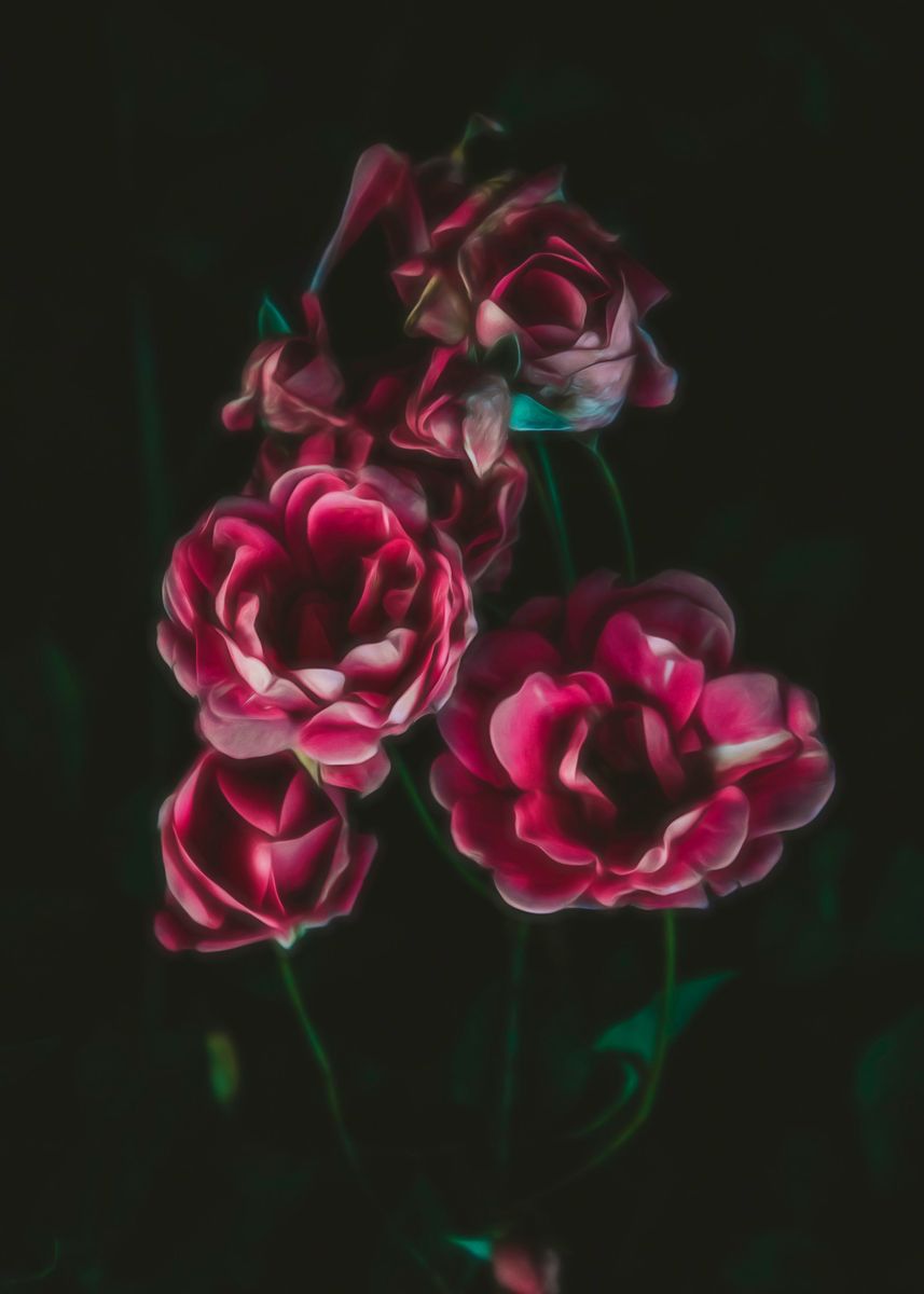 'Pink Roses' Poster, picture, metal print, paint by Armstrong | Displate