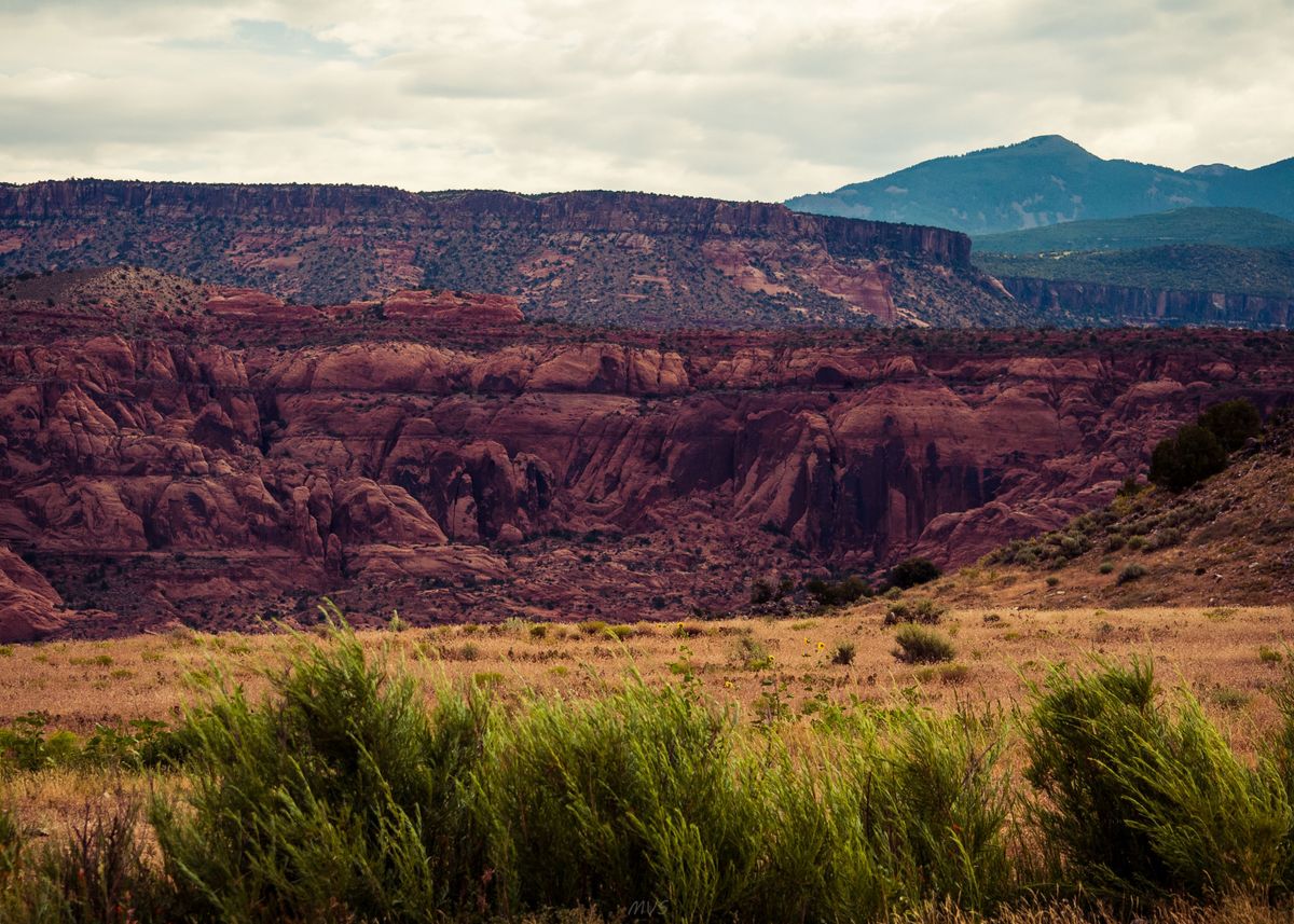 'Meadow Grass' Poster by Michael Sabol | Displate