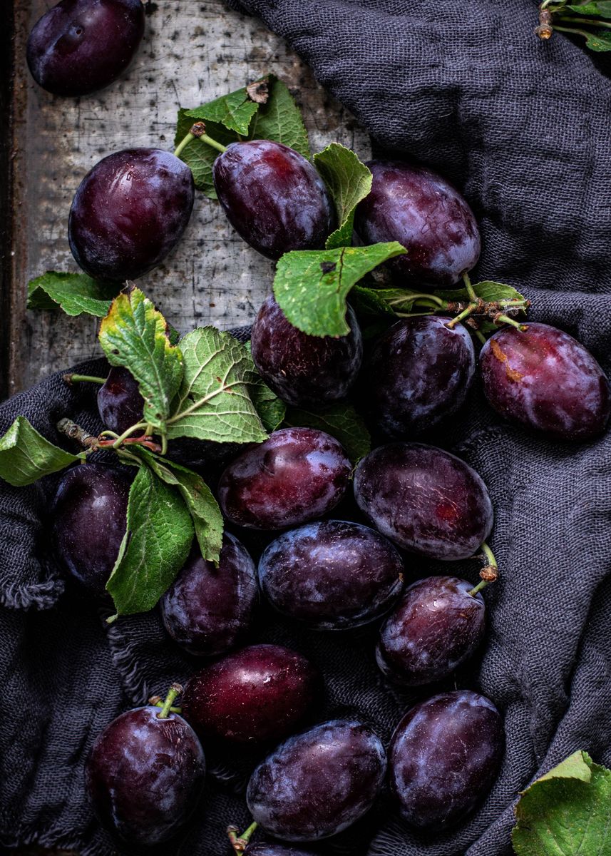 'Plums' Poster, picture, metal print, paint by ChrisChris Fight | Displate