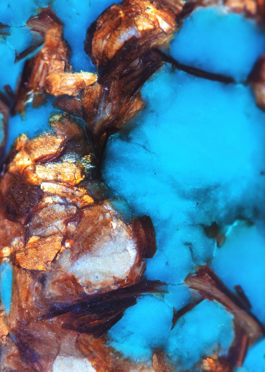 'Turquoise' Poster, picture, metal print, paint by Steffen Gierok ...