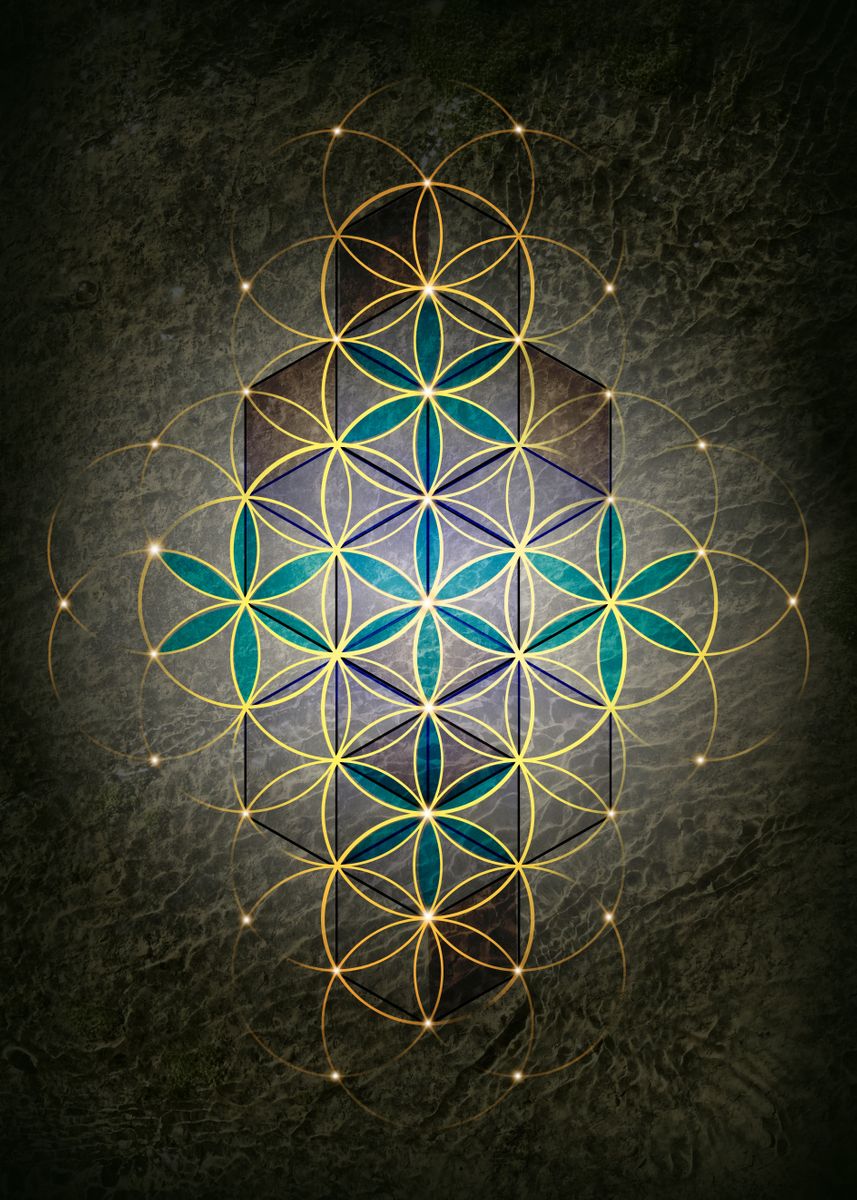 'flower of live and hex' Poster, picture, metal print, paint by IHTI ...