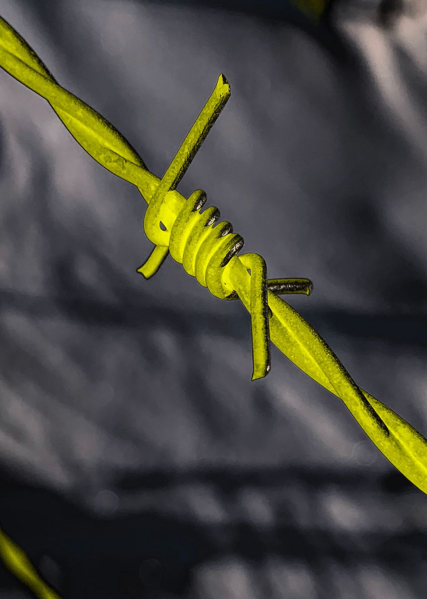 'Barbed Wire' Poster, picture, metal print, paint by Deztiny Di Meo ...