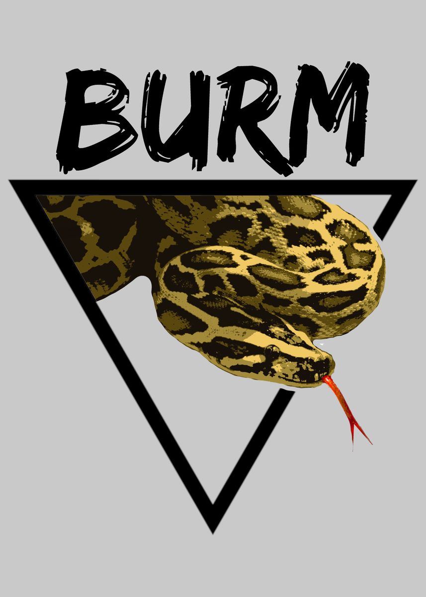 'Burmese Python Geometric' Poster, picture, metal print, paint by Jon ...