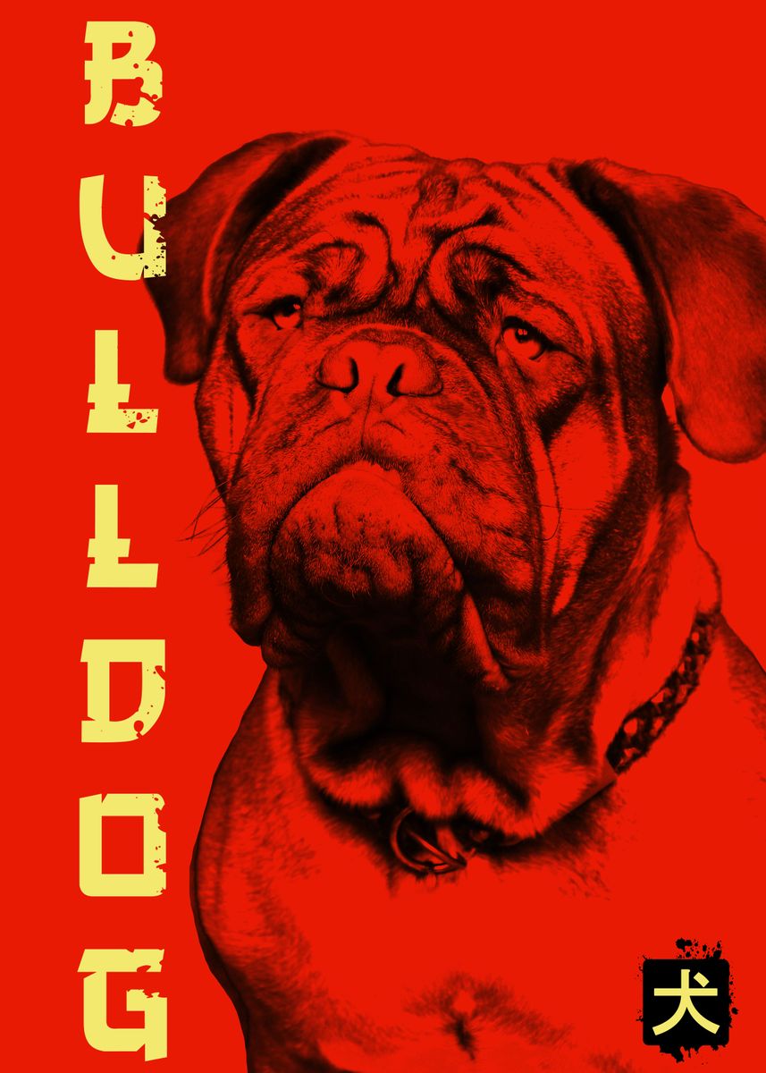 'bulldog' Poster, picture, metal print, paint by SplashDesign | Displate