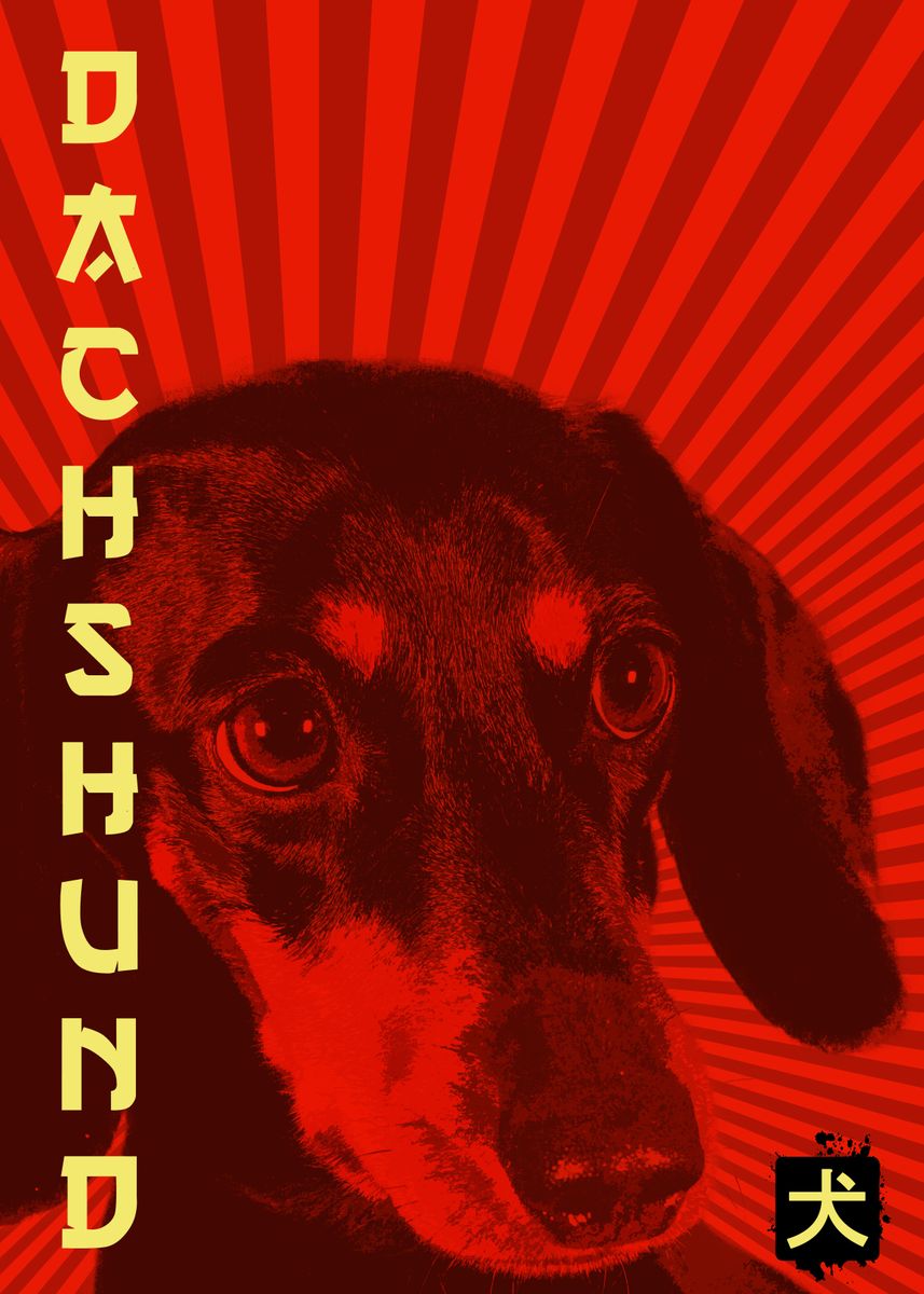 'dachshund' Poster, picture, metal print, paint by SplashDesign | Displate