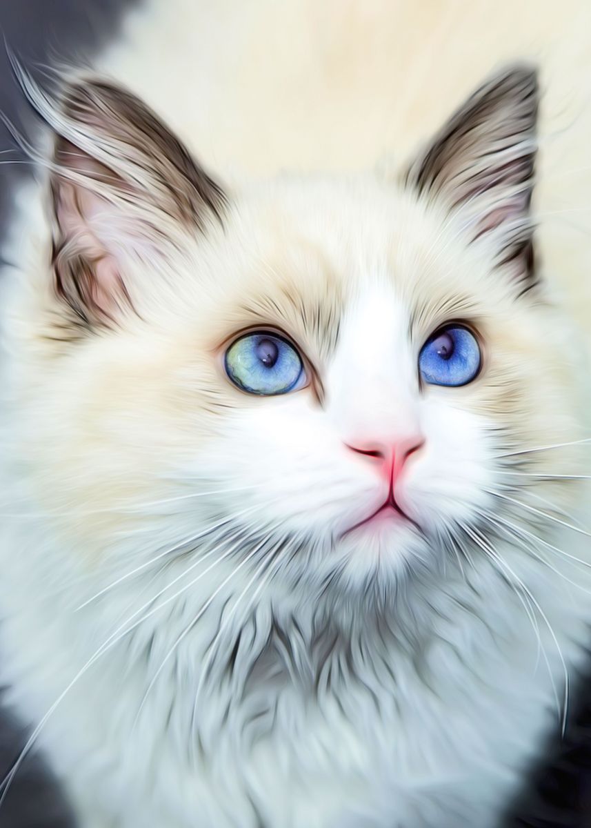 'Cute White Cat' Poster, picture, metal print, paint by Armstrong ...