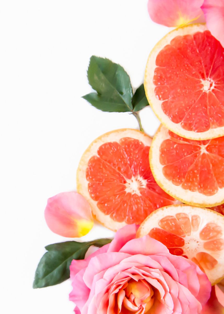 'Grapefruit Roses 04' Poster, picture, metal print, paint by Aloke ...