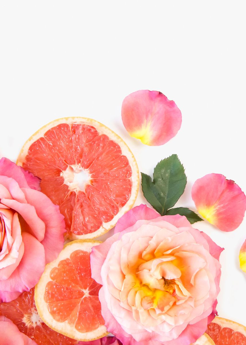 'Grapefruit Roses 03' Poster, picture, metal print, paint by Aloke ...