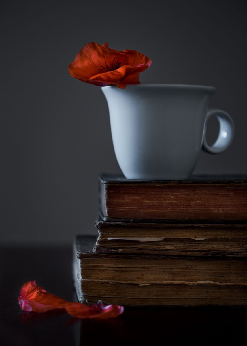 'A cup of poppy ' Poster, picture, metal print, paint by Donatella Loi ...