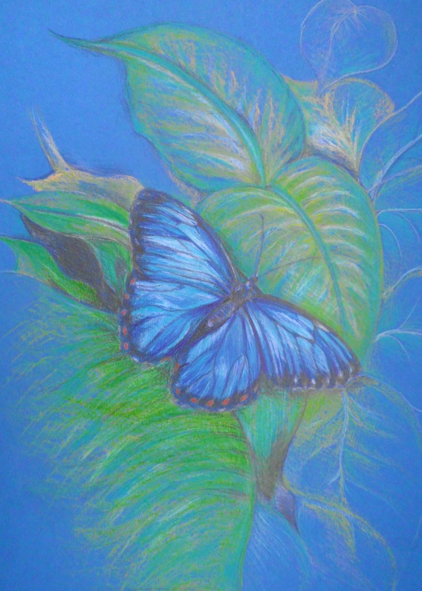 'Blue butterfly cottagecore' Poster by Edy Art Space | Displate