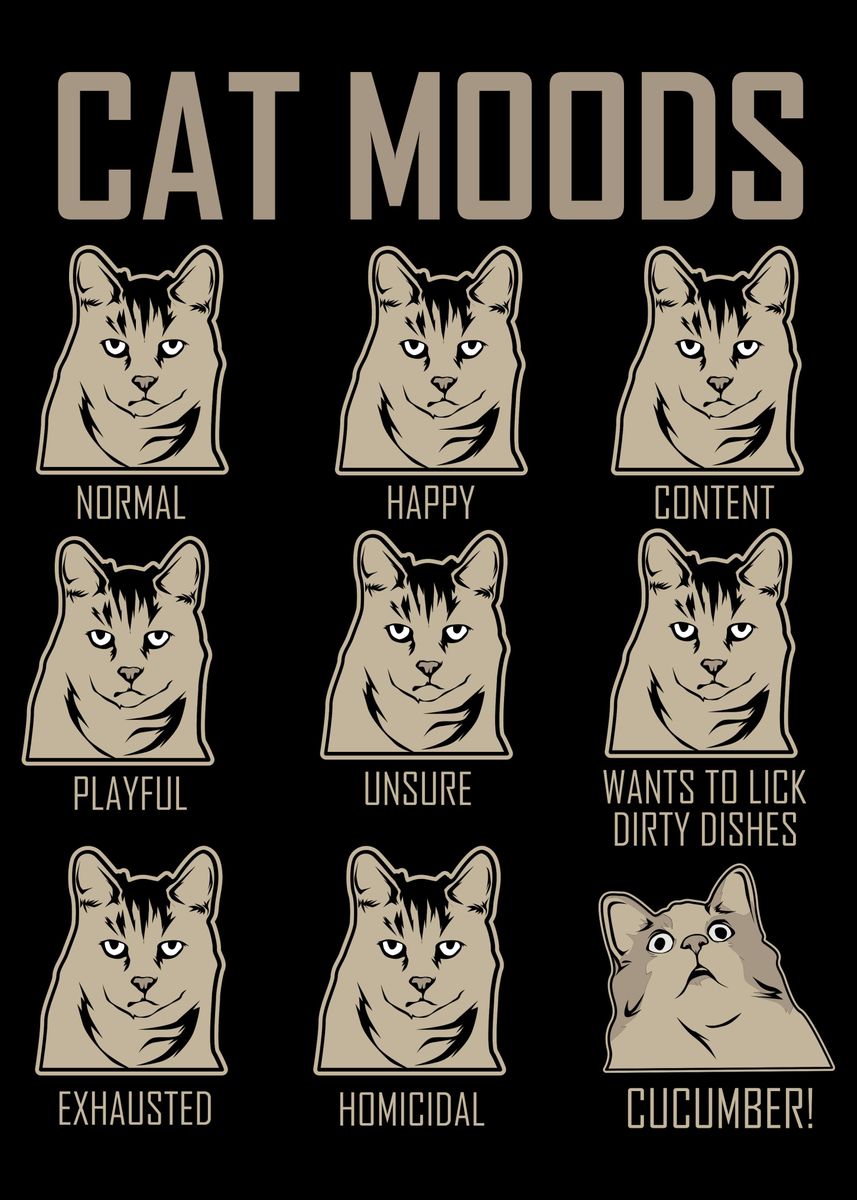 'All Cat Moods' Poster, picture, metal print, paint by Uwe Seibert ...