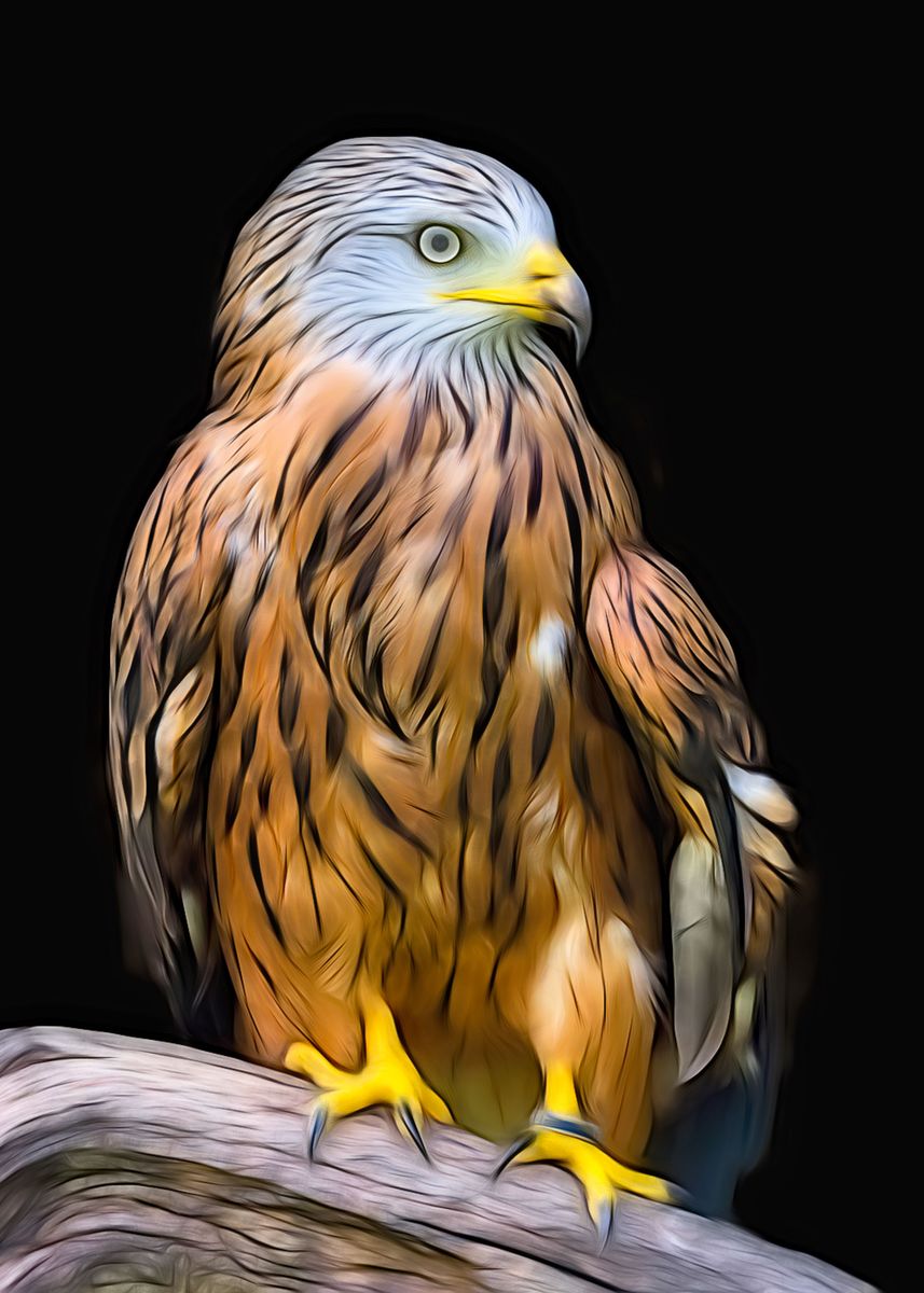 'Raptor' Poster, picture, metal print, paint by Armstrong | Displate