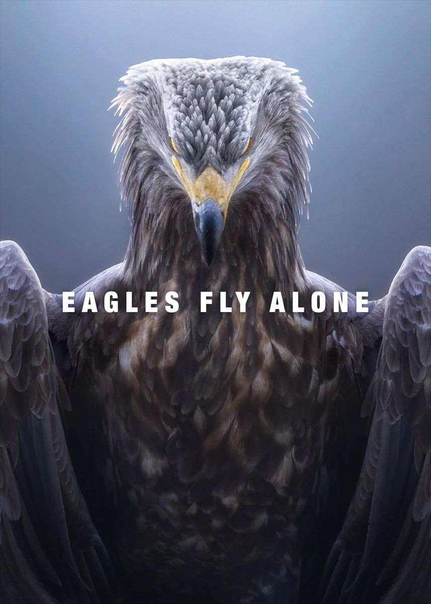 'Eagles Fly Alone' Poster, picture, metal print, paint by max salkov ...