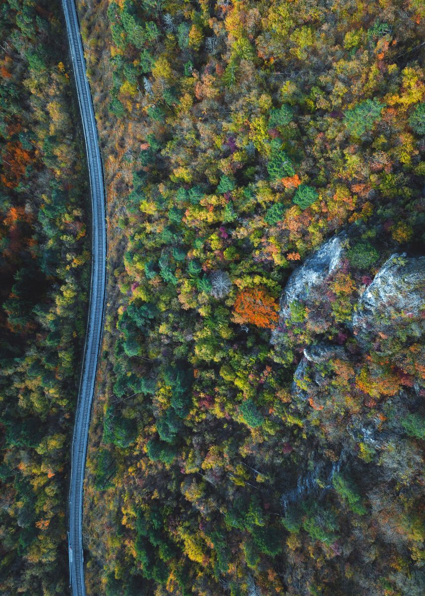 'The lost rail' Poster, picture, metal print, paint by Fahrudin ...