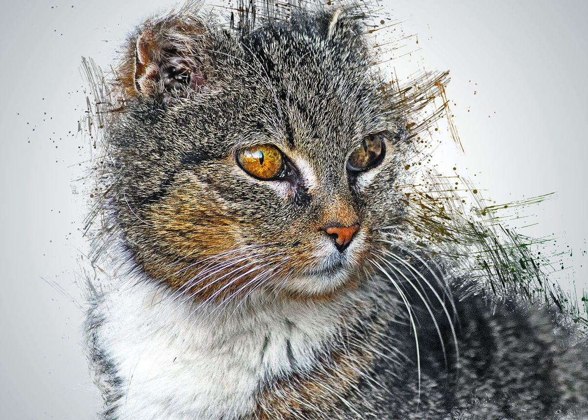 'Cat Animal' Poster by Mas Nono | Displate