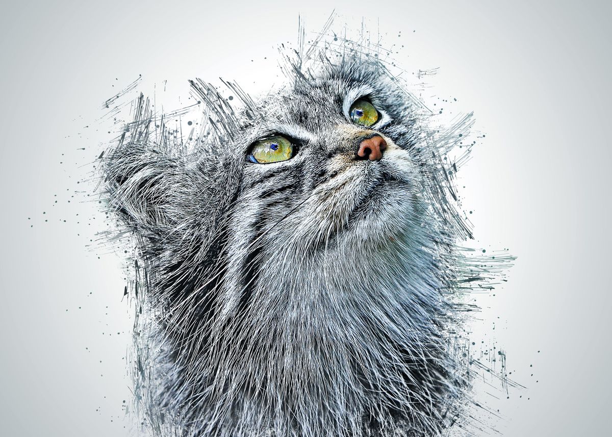 'Cat Animal' Poster by Mas Nono | Displate