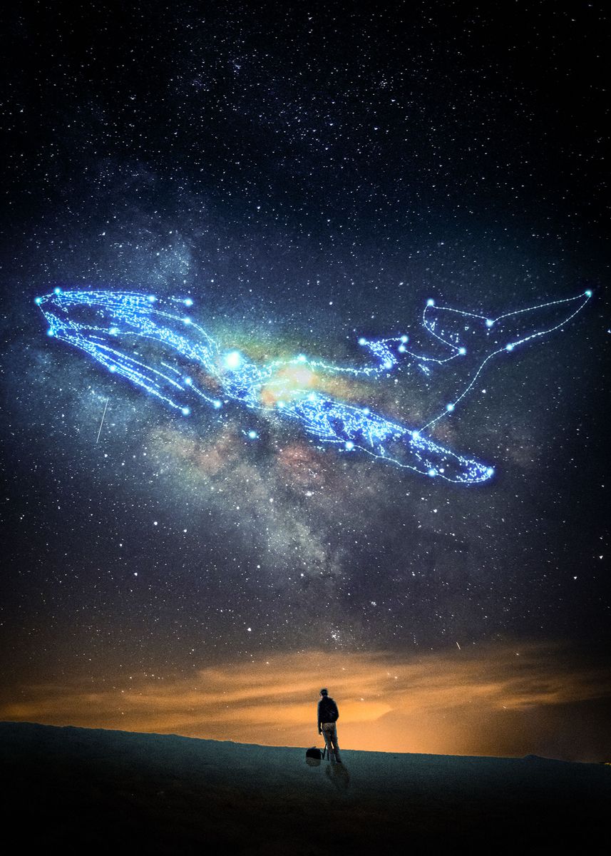 'Whale Constellation' Poster, picture, metal print, paint by Tariq ...