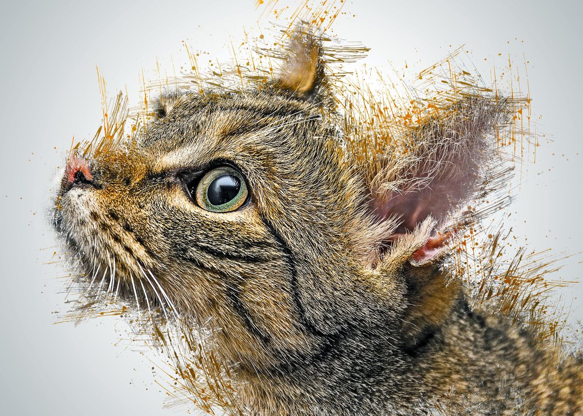 'Cat Animal' Poster by Mas Nono | Displate