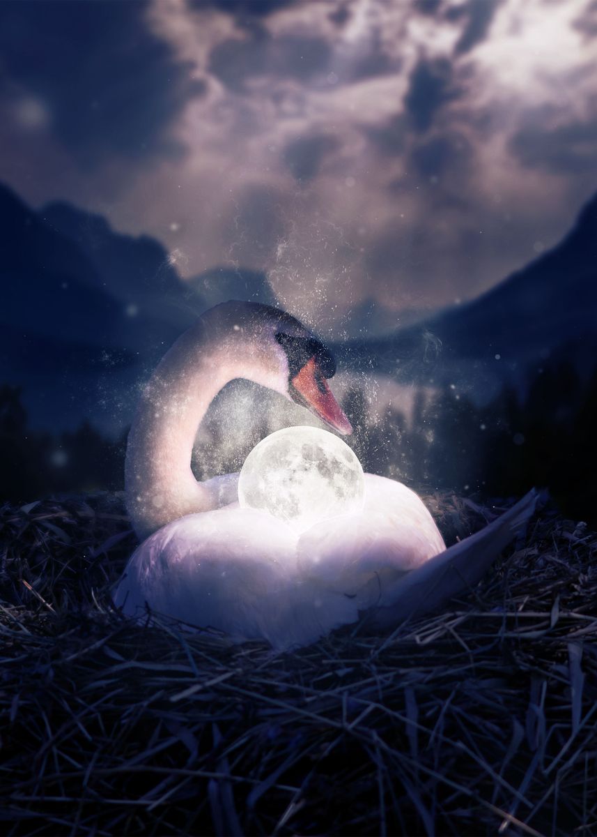 'Moon Swan' Poster, picture, metal print, paint by Jonathan Oesch ...