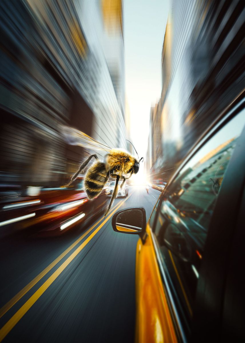 'Bee vs Taxi' Poster, picture, metal print, paint by Jonathan Oesch ...