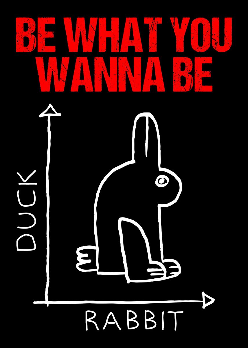 'Duck Rabbit Graph' Poster, picture, metal print, paint by Robert ...