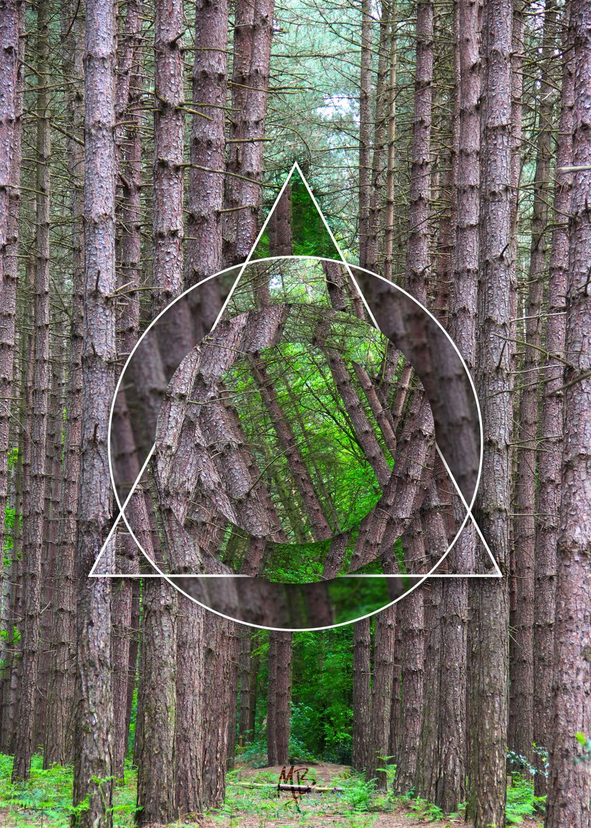 'Poly Tree Line' Poster, picture, metal print, paint by Matt Blesovsky ...