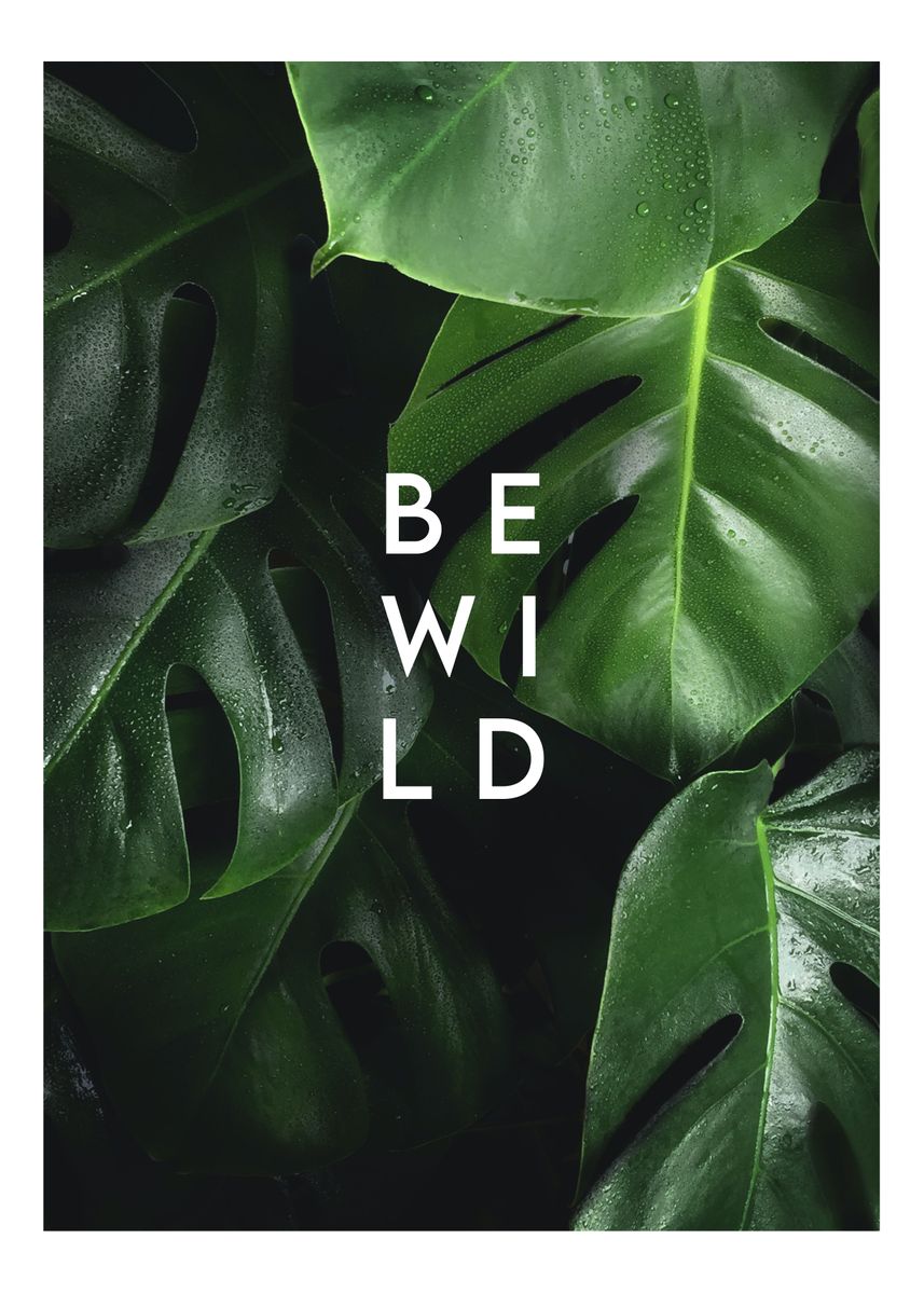 'be wild' Poster by BURRY Nature Photos | Displate